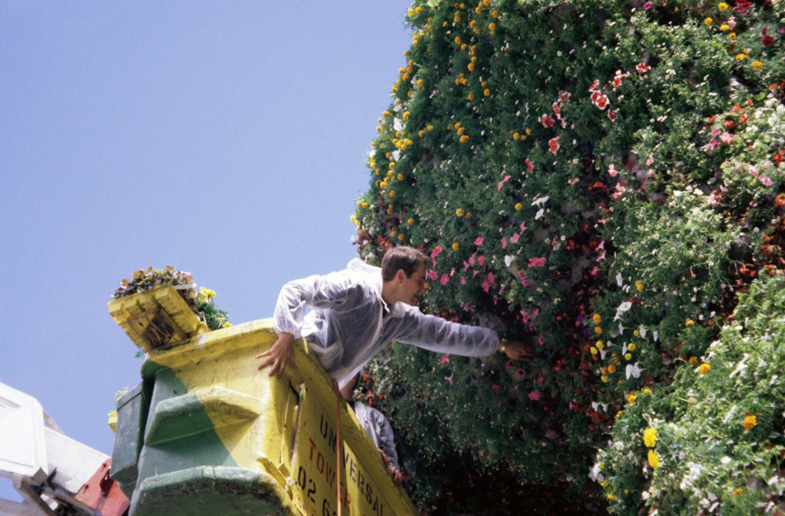 PROJECT 10: JEFF KOONS – Kaldor Public Art Projects