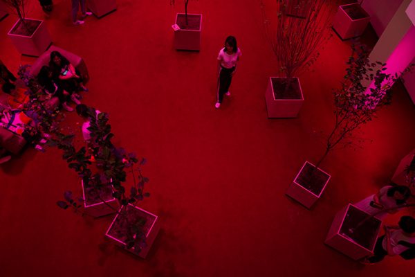 5 Questions with Asad Raza – Kaldor Public Art Projects